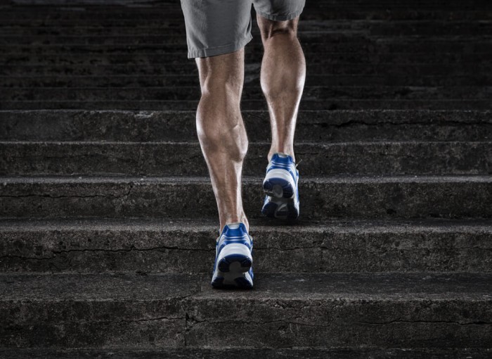 Beef Up Your Calves: Workouts You Need | Gym Junkies
