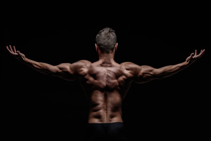 Best Back Workout Plan To Build a Stronger Back | Gym Junkies