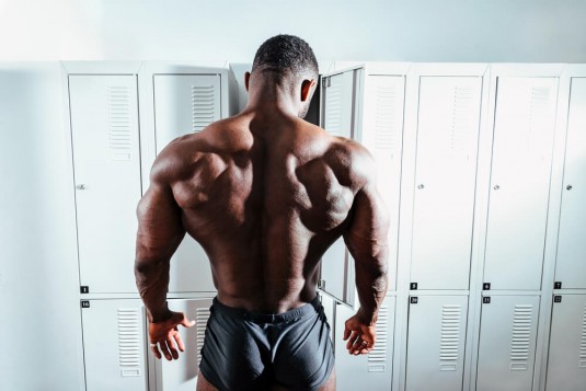 Best Exercises For Mass & Muscle Building | Gym Junkies