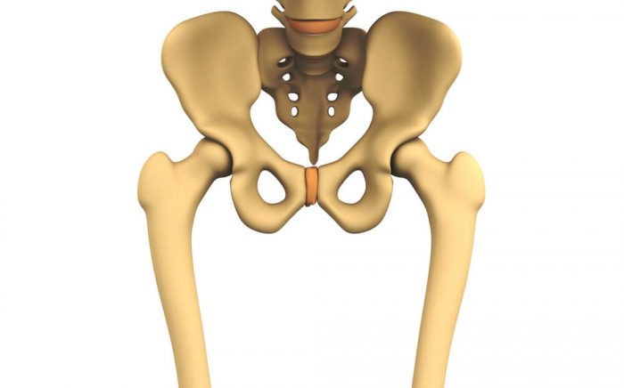 Understanding The Anterior Pelvic Tilt | Gym Junkies