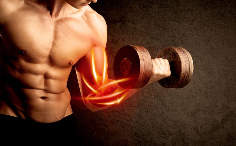 Best Muscle Builders You Need To Try In The Gym | Gym Junkies