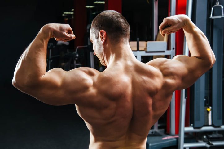 The Size Workout! Everything You Need To Know About Gaining Size Fast ...
