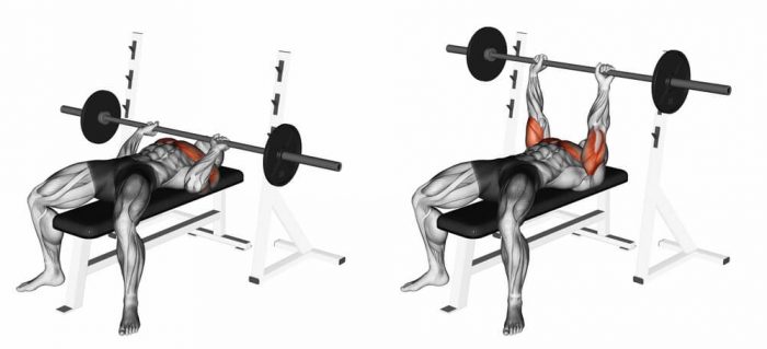 Your Best Bench Press Workout Challenge | Gym Junkies