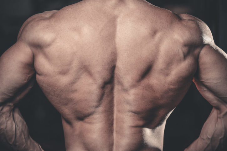 Rack Pulls - Should You Add Them To Your Back Workout? | Gym Junkies