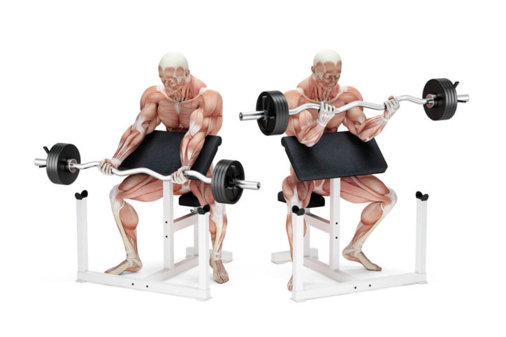 Preacher Curl Workouts For Gains | Gym Junkies